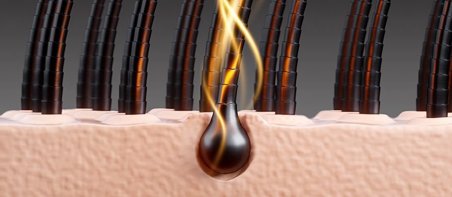 The Science of Hair Structure: How It Impacts Your Styling Strategies ...